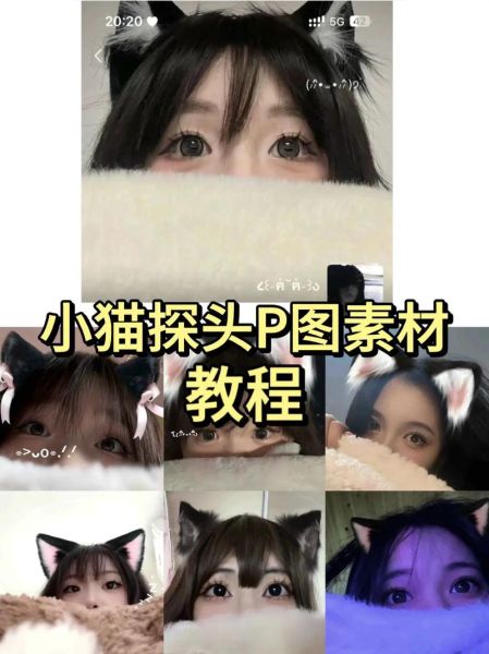 猫耳朵图片大全_如何挑选高清可爱图-第2张图片-山城妙识