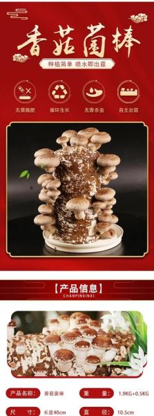 香菇怎么种_香菇种植技术与管理-第1张图片-山城妙识