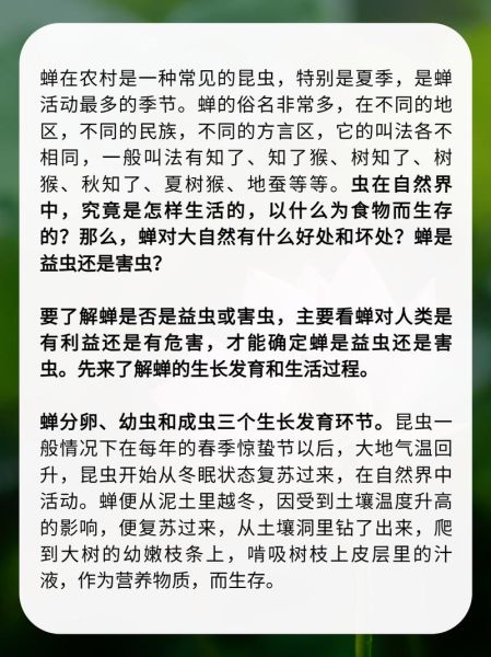 知了是益虫还是害虫_知了对植物的危害有哪些-第1张图片-山城妙识