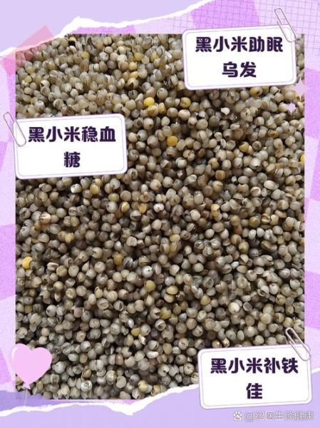 黑小米的功效与作用_黑小米的禁忌症-第1张图片-山城妙识 黑小米的功效与作用_黑小米的禁忌症-第1张图片-山城妙识