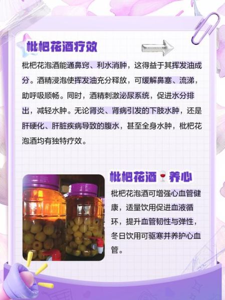 枇杷花泡水喝的禁忌_枇杷花副作用有哪些-第1张图片-山城妙识 枇杷花泡水喝的禁忌_枇杷花副作用有哪些-第1张图片-山城妙识