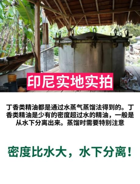 丁香油酚是什么_丁香油酚的作用与功效-第3张图片-山城妙识