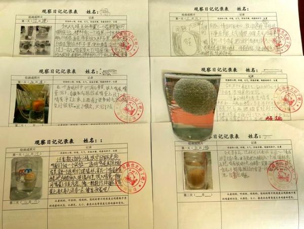 醋泡鸡蛋实验作文怎么写_醋泡鸡蛋观察日记怎么写-第1张图片-山城妙识