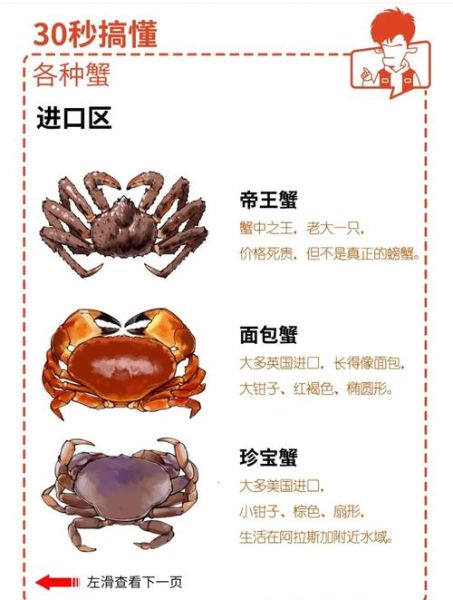 螃蟹结构图部位名称_如何区分公母蟹-第1张图片-山城妙识