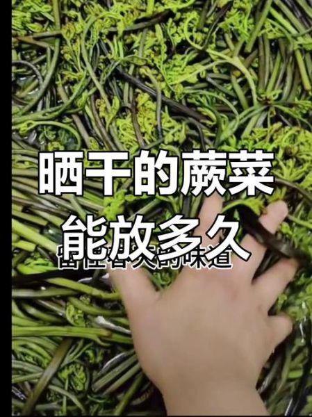 干蕨菜用热水还是冷水泡_泡发时间多久-第2张图片-山城妙识