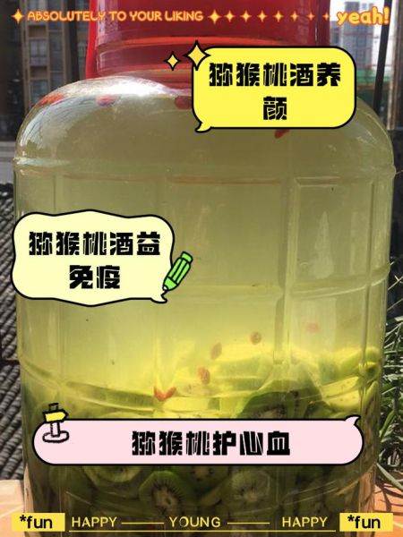 猕猴桃酒的功效与作用_猕猴桃酒怎么喝最养生-第1张图片-山城妙识