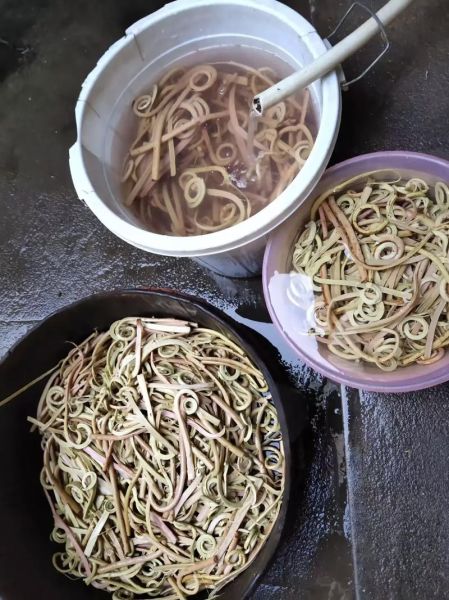 干蕨菜用热水还是冷水泡_泡发时间多久-第3张图片-山城妙识