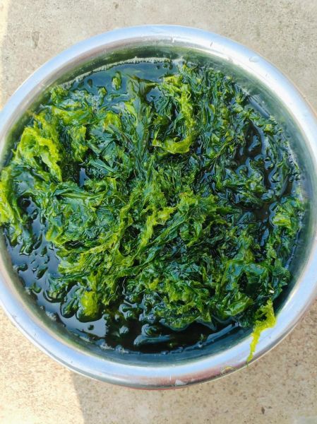 海菜怎么做好吃_海菜的营养价值有哪些-第1张图片-山城妙识