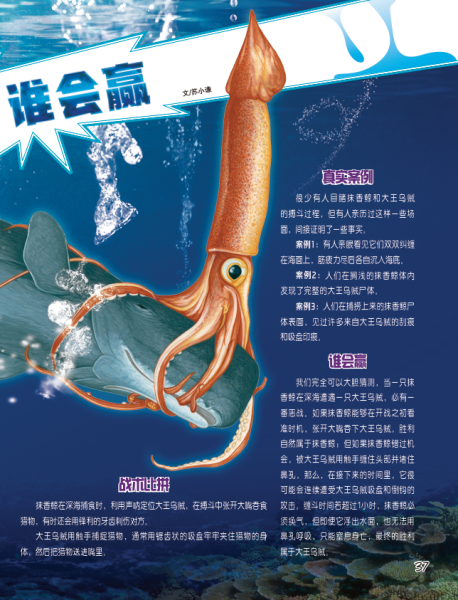 大王乌贼vs抹香鲸谁更厉害_深海对决真相-第1张图片-山城妙识