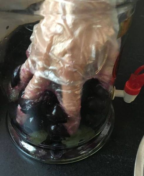 自制红葡萄酒的做法_家庭自酿葡萄酒详细步骤-第2张图片-山城妙识 自制红葡萄酒的做法_家庭自酿葡萄酒详细步骤-第2张图片-山城妙识