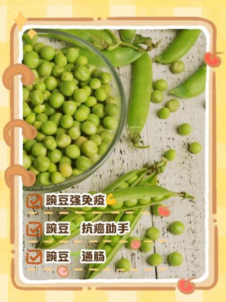 豌豆荚官网怎么下载_豌豆荚安全吗-第2张图片-山城妙识