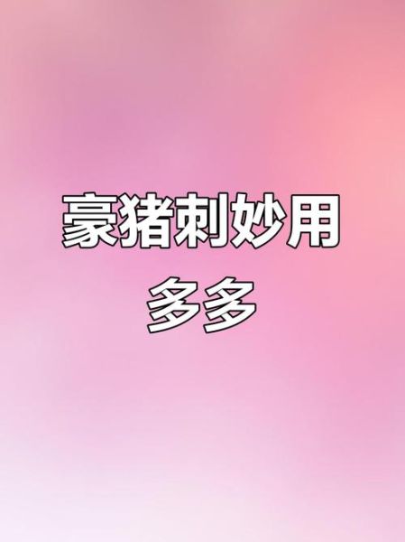 豪猪怎么养_豪猪刺有什么作用-第3张图片-山城妙识