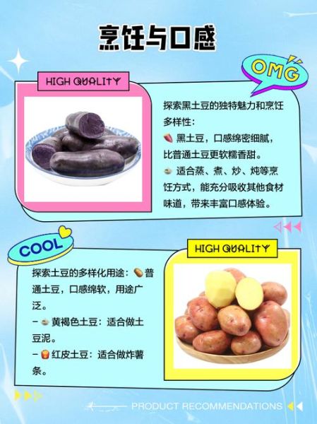 黑土豆和普通土豆有什么区别_黑土豆营养价值高吗-第1张图片-山城妙识 黑土豆和普通土豆有什么区别_黑土豆营养价值高吗-第1张图片-山城妙识