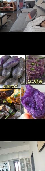 黑土豆和普通土豆有什么区别_黑土豆营养价值高吗-第3张图片-山城妙识 黑土豆和普通土豆有什么区别_黑土豆营养价值高吗-第3张图片-山城妙识