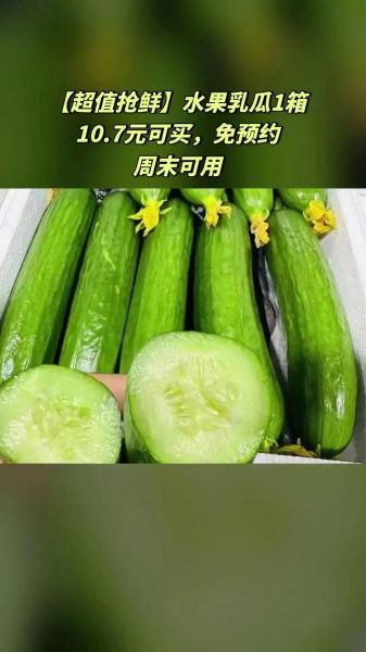 乳瓜热量是多少_乳瓜减肥能吃吗-第3张图片-山城妙识 乳瓜热量是多少_乳瓜减肥能吃吗-第3张图片-山城妙识