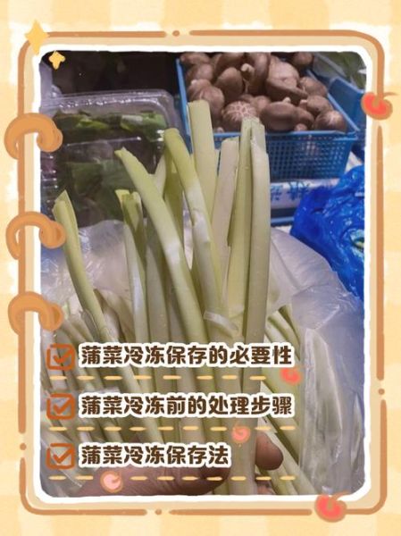 蒲菜吃哪个部位_蒲菜怎么吃图解-第2张图片-山城妙识