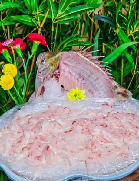 顺德鱼生用什么鱼_顺德鱼生常见鱼种-第1张图片-山城妙识