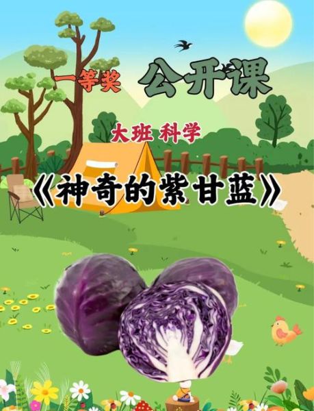 紫甘蓝变色实验怎么做_紫甘蓝汁遇酸碱颜色变化原理-第1张图片-山城妙识