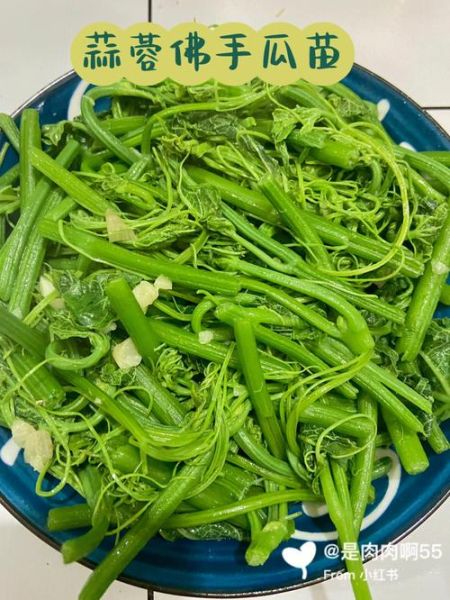 清炒佛手瓜苗怎么炒_佛手瓜苗焯水几分钟-第1张图片-山城妙识 清炒佛手瓜苗怎么炒_佛手瓜苗焯水几分钟-第1张图片-山城妙识