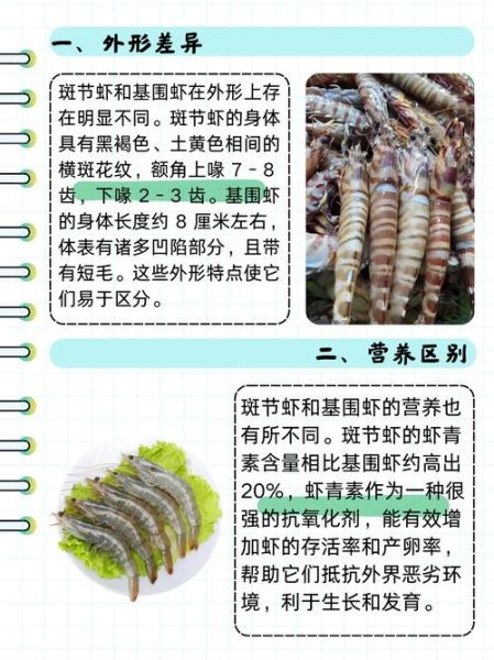 基围虾和斑节虾哪个贵_价格差异原因-第1张图片-山城妙识