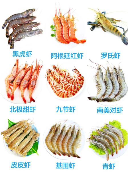 基围虾和斑节虾哪个贵_价格差异原因-第2张图片-山城妙识