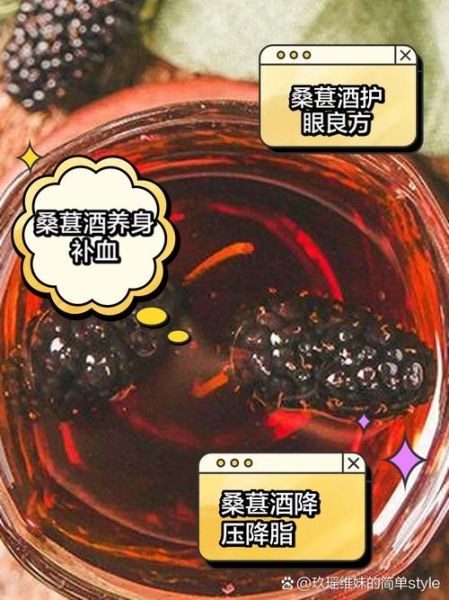 桑葚泡酒的功效与作用_桑葚泡酒怎么泡效果最好-第1张图片-山城妙识