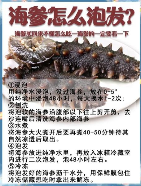 海参怎么发_海参怎么发又大又好-第1张图片-山城妙识