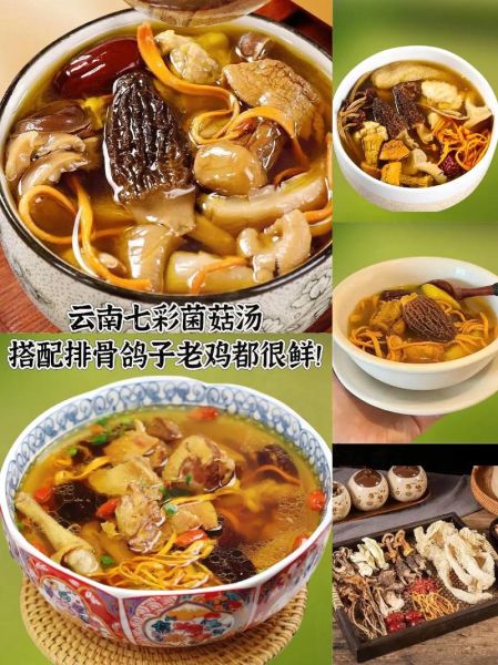 菌菇汤的营养价值_菌菇汤适合什么人喝-第2张图片-山城妙识