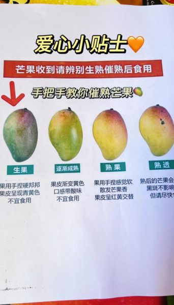 芒果怎么催熟_芒果没熟怎么快速变甜-第2张图片-山城妙识