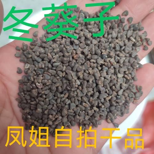 冬葵子是什么_冬葵子的功效与作用-第3张图片-山城妙识