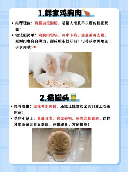 鸡胸肉煮多久给猫吃_猫咪吃煮鸡胸肉注意事项-第1张图片-山城妙识