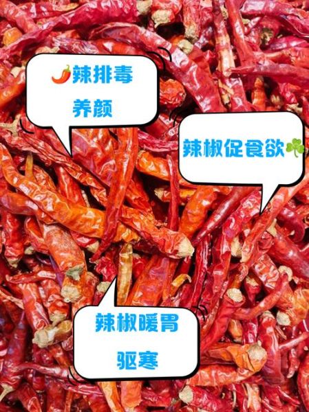 辣椒的功效与作用_辣椒的营养价值-第1张图片-山城妙识 辣椒的功效与作用_辣椒的营养价值-第1张图片-山城妙识