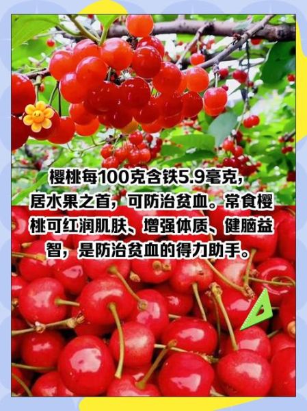 补血的水果有哪些_吃什么水果补血最快-第2张图片-山城妙识