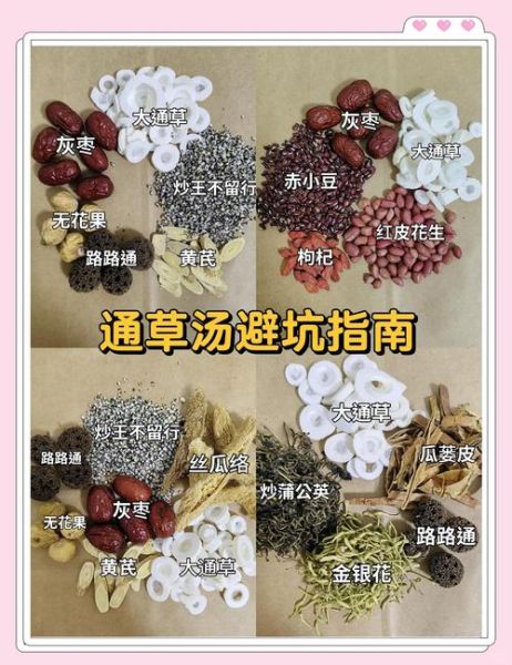 通草煮水一天喝几次_通草水能天天喝吗-第1张图片-山城妙识