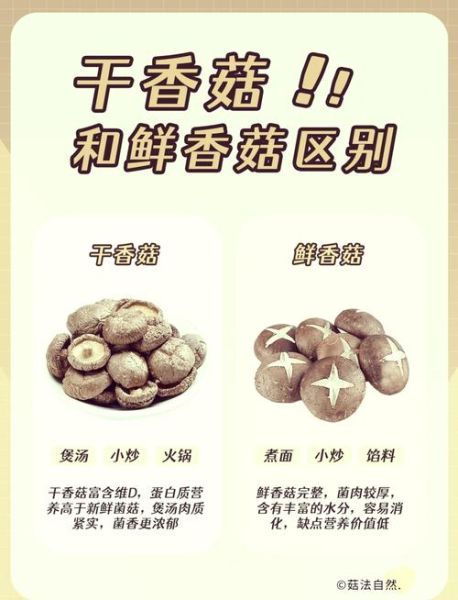 香菇和冬菇的区别_哪个更好吃-第1张图片-山城妙识