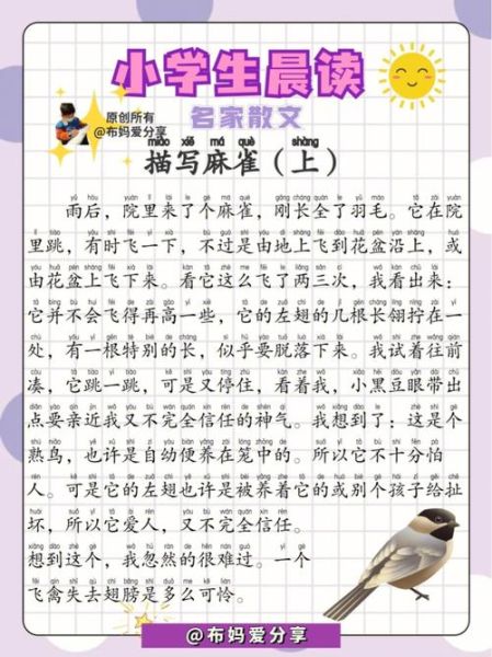 麻雀的拼音怎么写_麻雀拼音声调怎么标-第3张图片-山城妙识