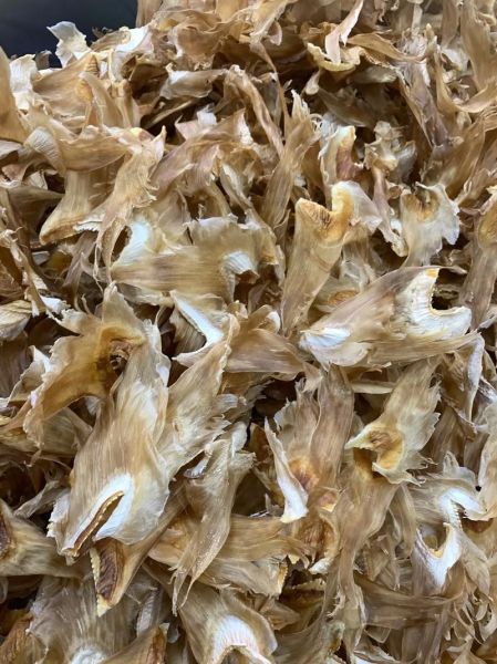 鱼翅品牌哪个好_鱼翅怎么挑选-第2张图片-山城妙识