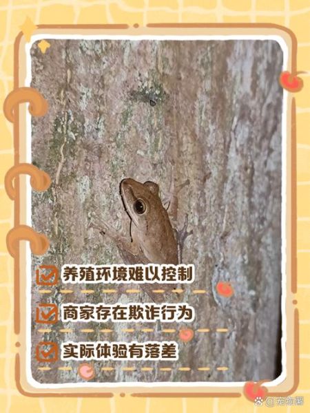 树蛙有毒吗_树蛙毒性对人影响-第1张图片-山城妙识