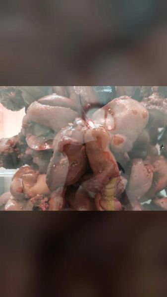 五香酱鸡肝怎么做_鸡肝去腥技巧-第3张图片-山城妙识