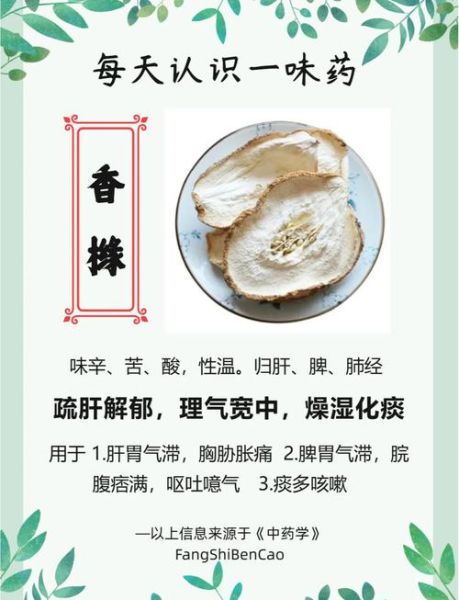 佛手香橼的功效与作用_佛手香橼适合哪些人-第1张图片-山城妙识 佛手香橼的功效与作用_佛手香橼适合哪些人-第1张图片-山城妙识