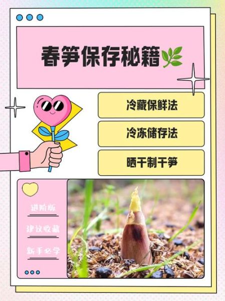 春笋怎么保存_春笋怎么焯水去涩-第1张图片-山城妙识 春笋怎么保存_春笋怎么焯水去涩-第1张图片-山城妙识