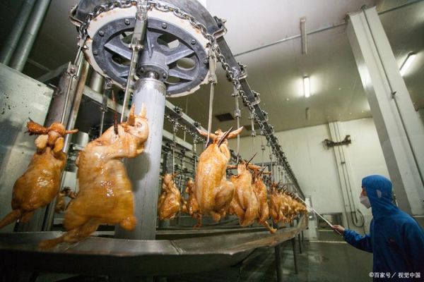 扒鸡怎么读_德州扒鸡的正确发音-第2张图片-山城妙识