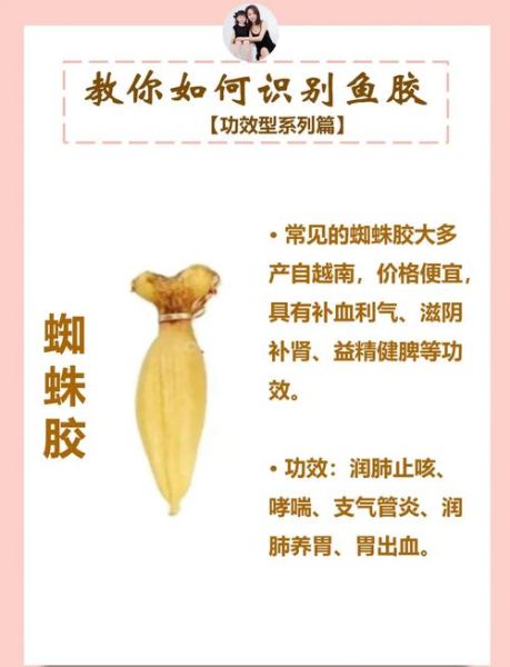 鱼胶粉怎么用_鱼胶粉的正确使用方法-第2张图片-山城妙识