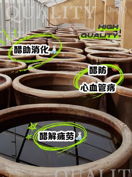 醋的副作用有哪些_长期喝醋会伤胃吗-第2张图片-山城妙识 醋的副作用有哪些_长期喝醋会伤胃吗-第2张图片-山城妙识