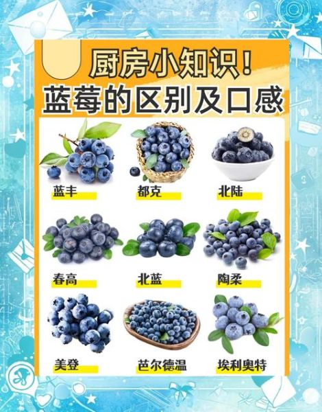 蓝莓图片高清_如何挑选优质蓝莓-第1张图片-山城妙识