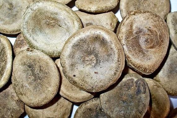 马钱子中毒症状_马钱子中毒怎么急救-第2张图片-山城妙识