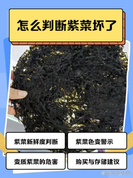 真紫菜和假紫菜的区别_如何辨别真紫菜图片-第1张图片-山城妙识