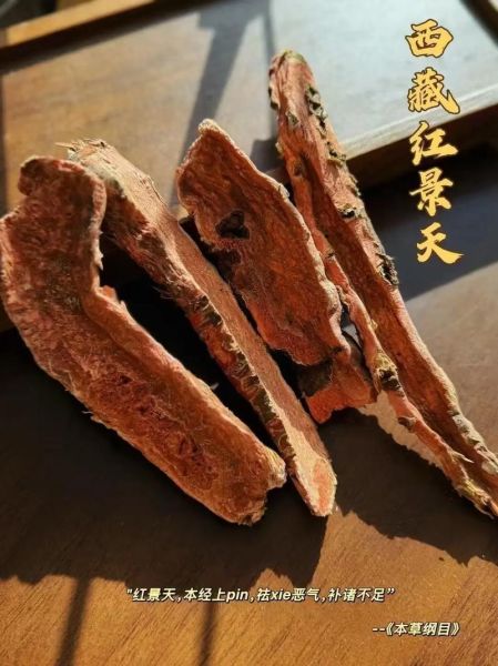 红景天有什么功效与作用_红景天适合什么人吃-第2张图片-山城妙识