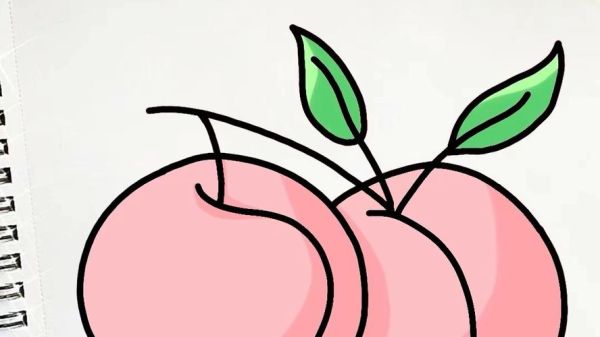 桃子简笔画怎么画_桃子图片大全简笔画-第2张图片-山城妙识