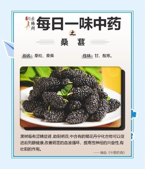 桑椹的功效与作用及副作用_吃桑椹会上火吗-第3张图片-山城妙识